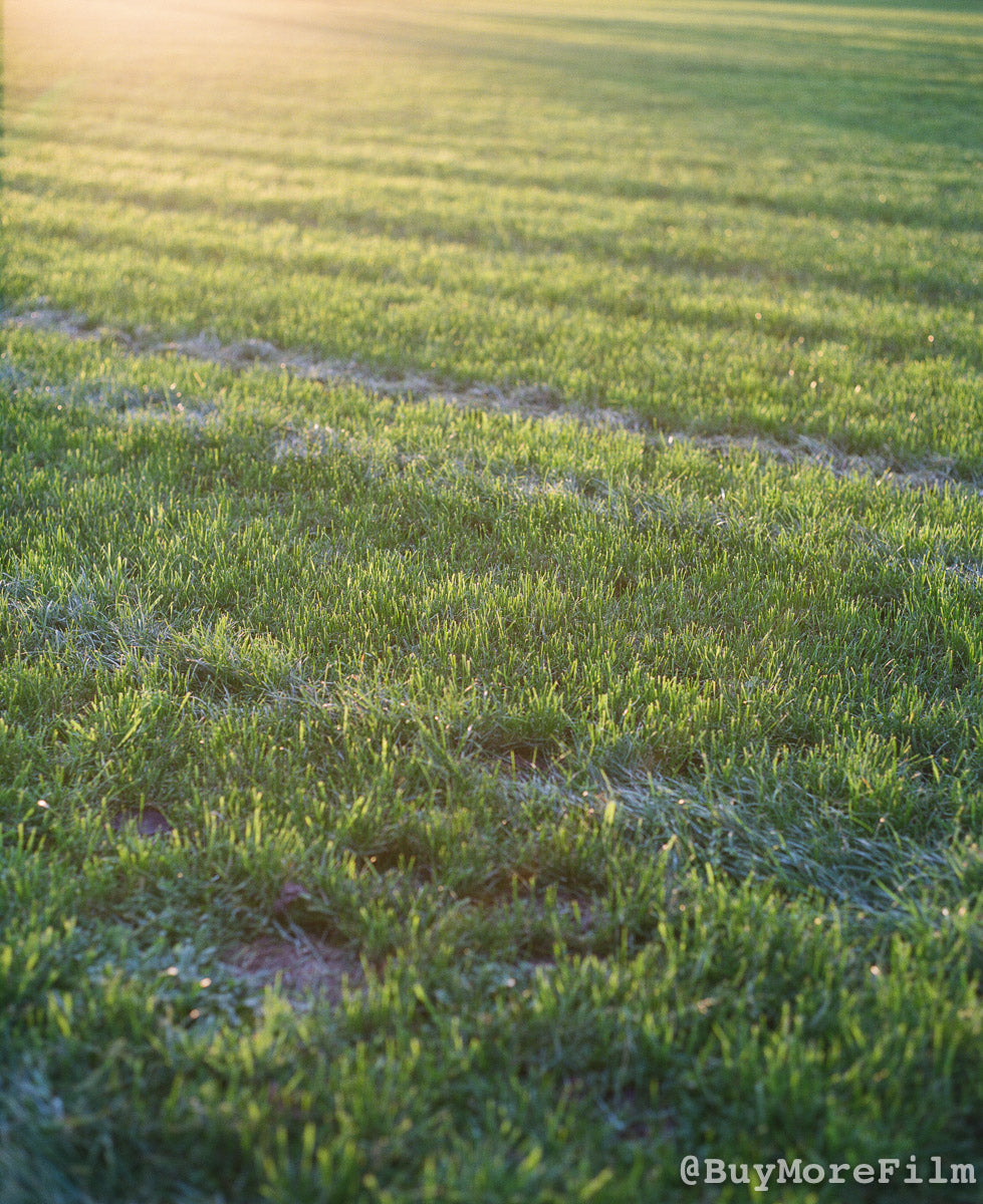 Fuji - Fujicolor NPH 400 - Pro 400H – BuyMoreFilm